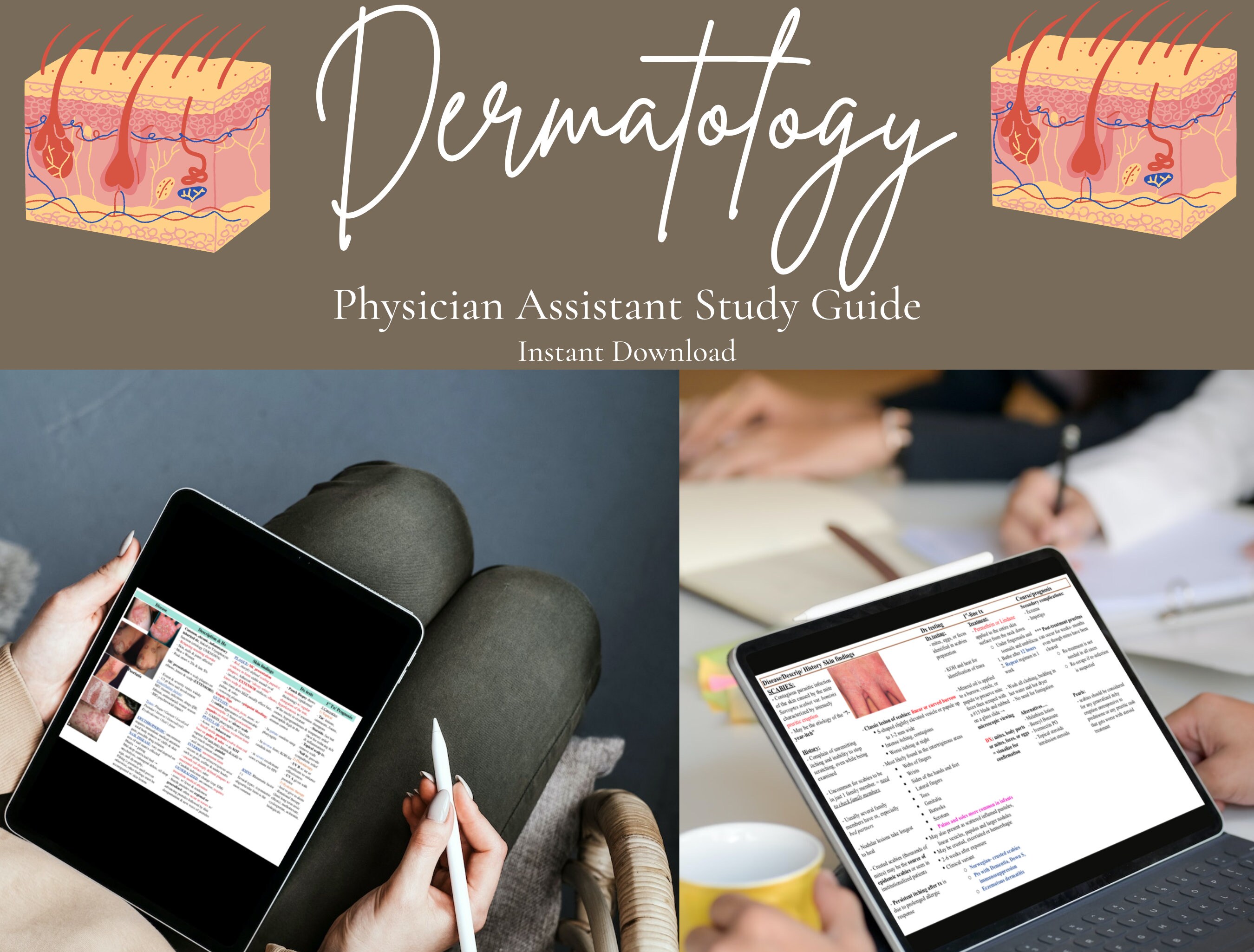 Comprehensive PA School Study Guide Bundle | Instant Download | 445 ...