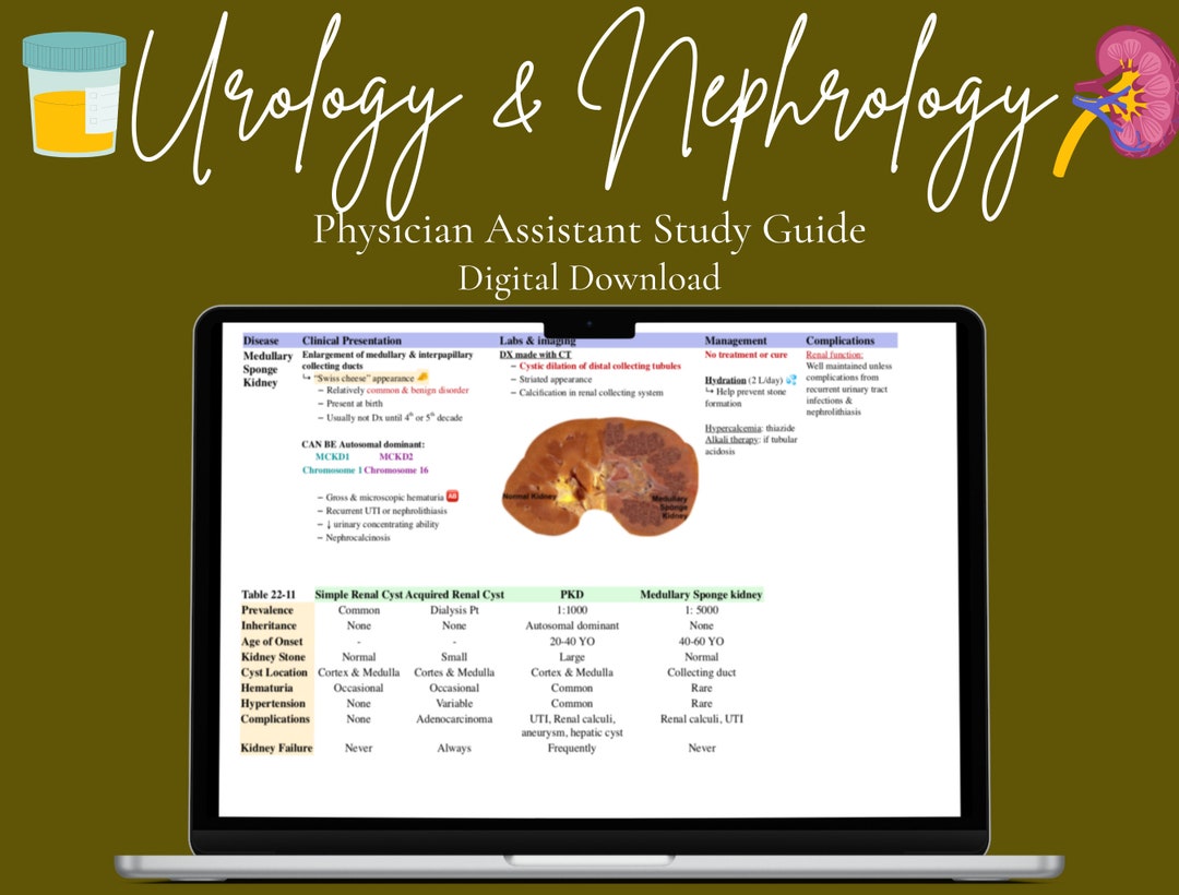 Urology & Nephrology Comprehensive Study Guides | Digital Download ...