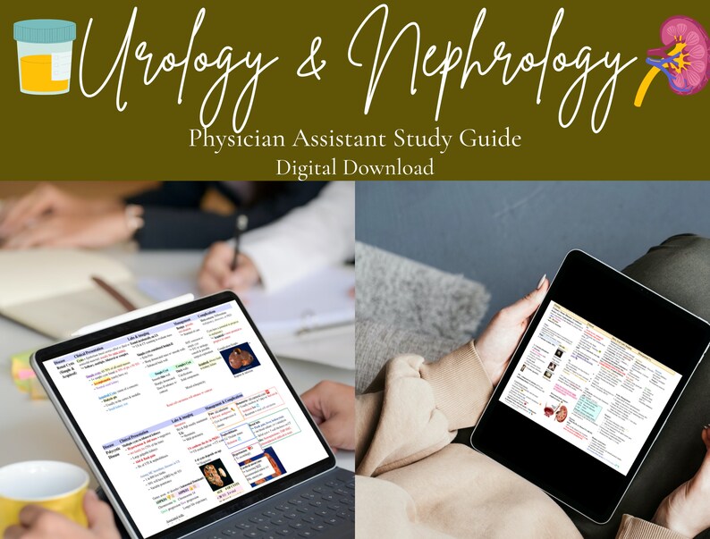 Urology & Nephrology Comprehensive Study Guides | Digital Download ...