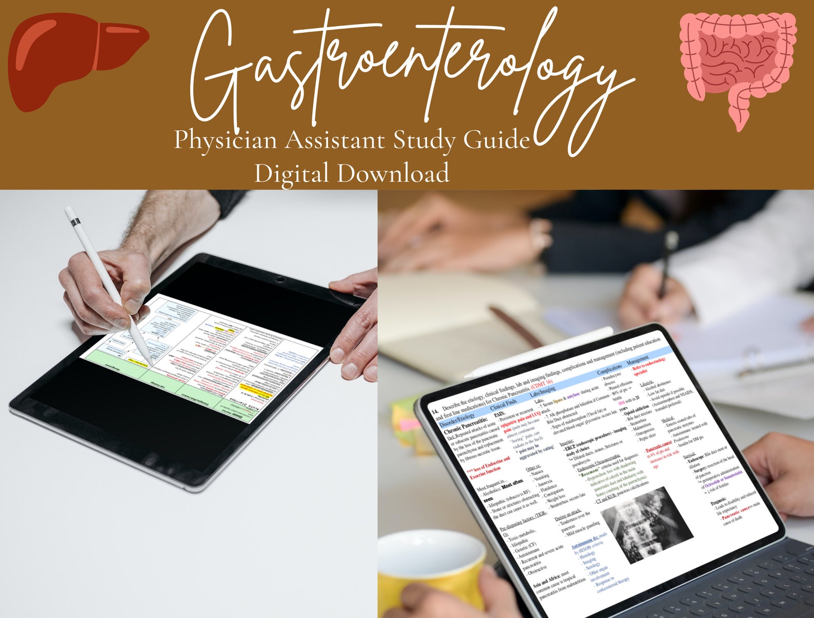 Gastroenterology Comprehensive Study Guides | Digital Download ...