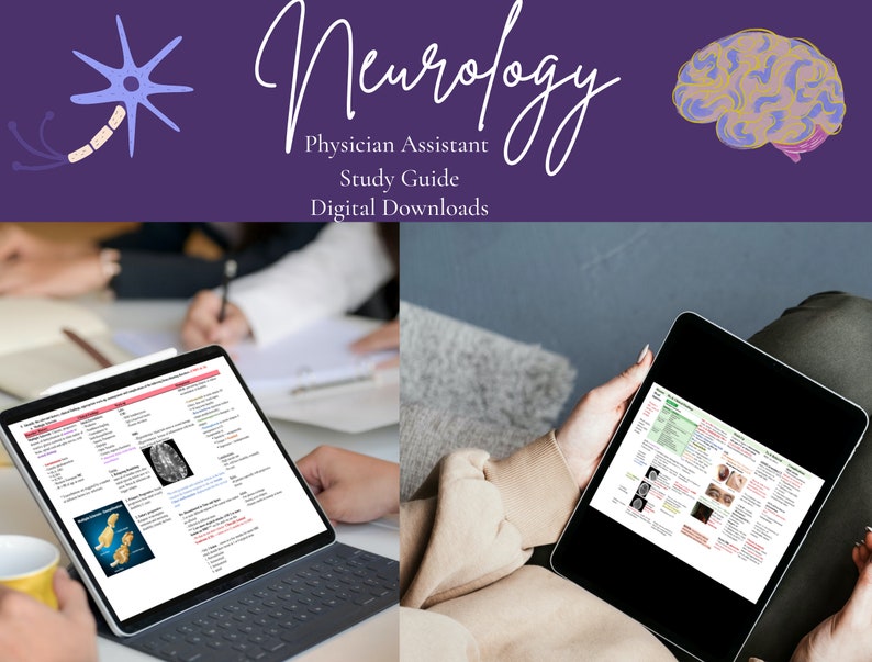 Neurology Comprehensive Study Guides | Digital Download | Physician ...