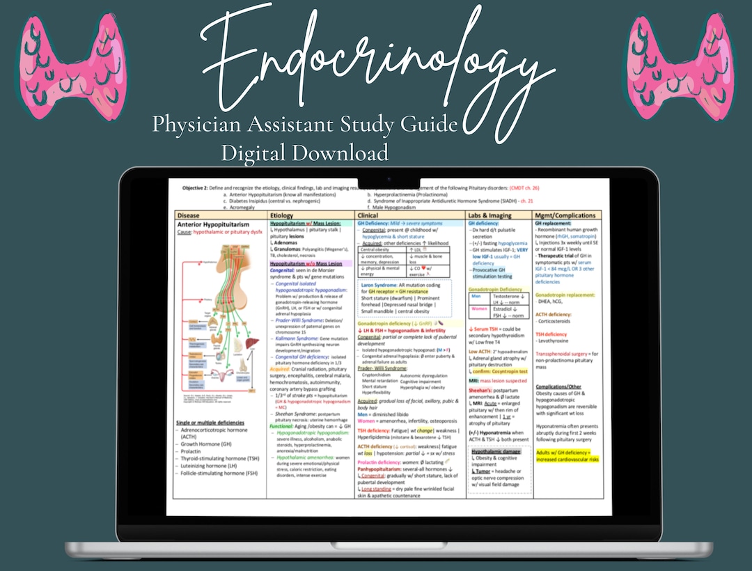 Endocrinology Comprehensive Study Guides | Digital Download | Physician ...
