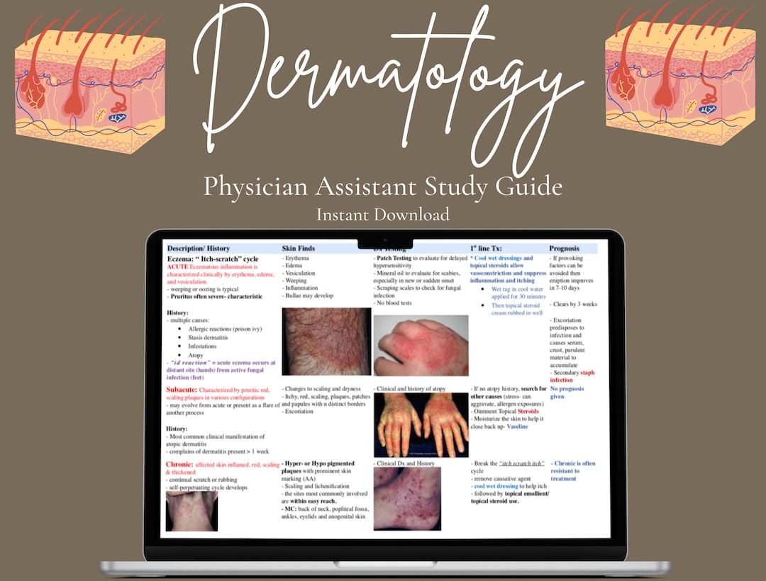 Dermatology Comprehensive Study Guides | Digital Download | Physician ...