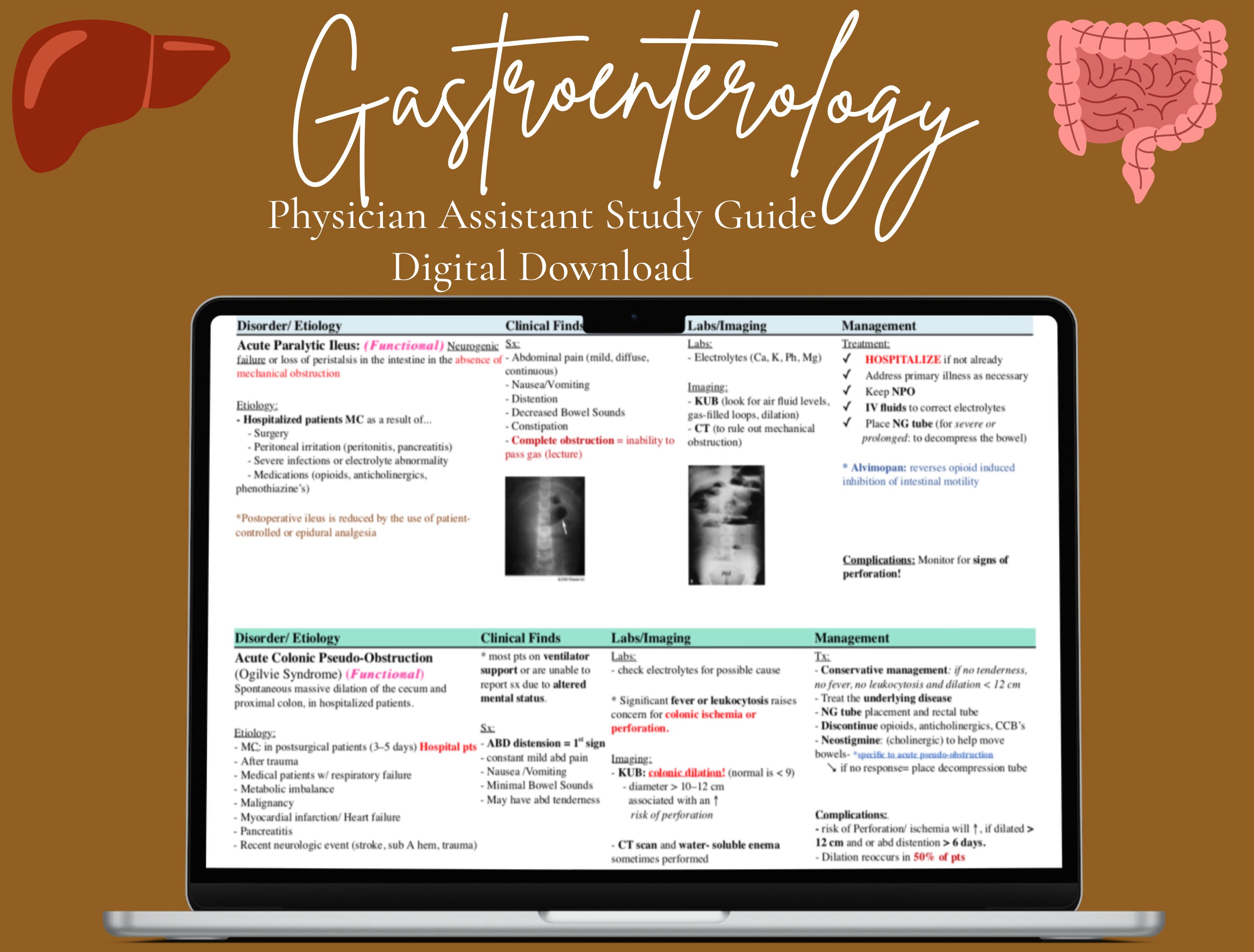 Gastroenterology Comprehensive Study Guides | Digital Download ...