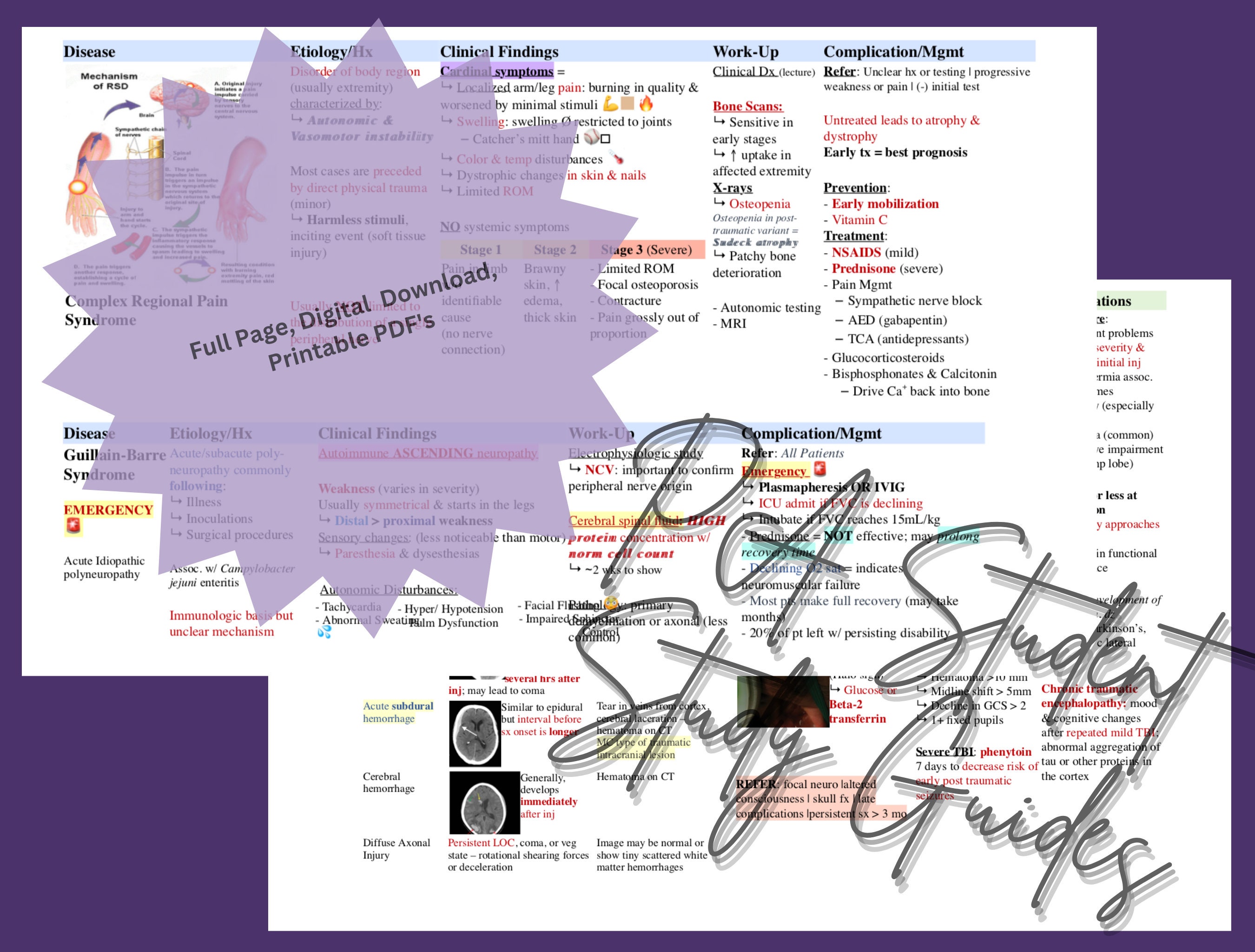 Neurology Comprehensive Study Guides | Digital Download | Physician ...