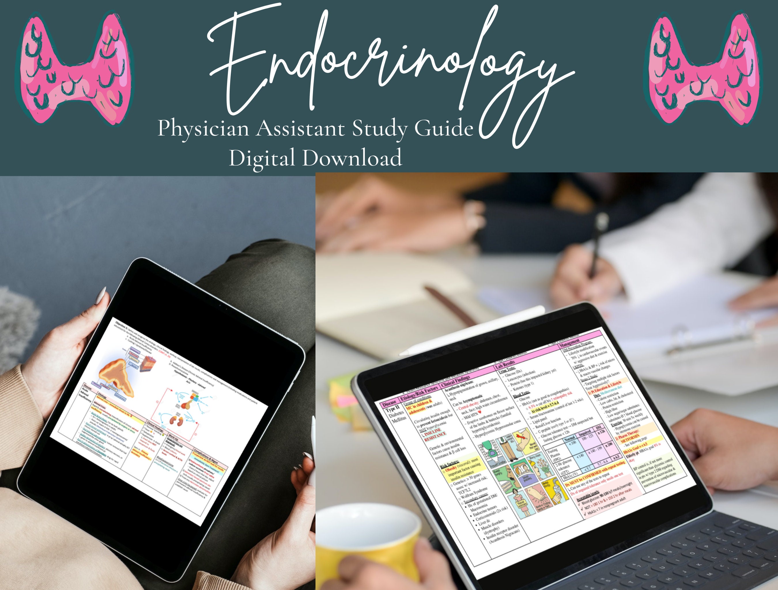 Endocrinology Comprehensive Study Guides | Digital Download | Physician ...
