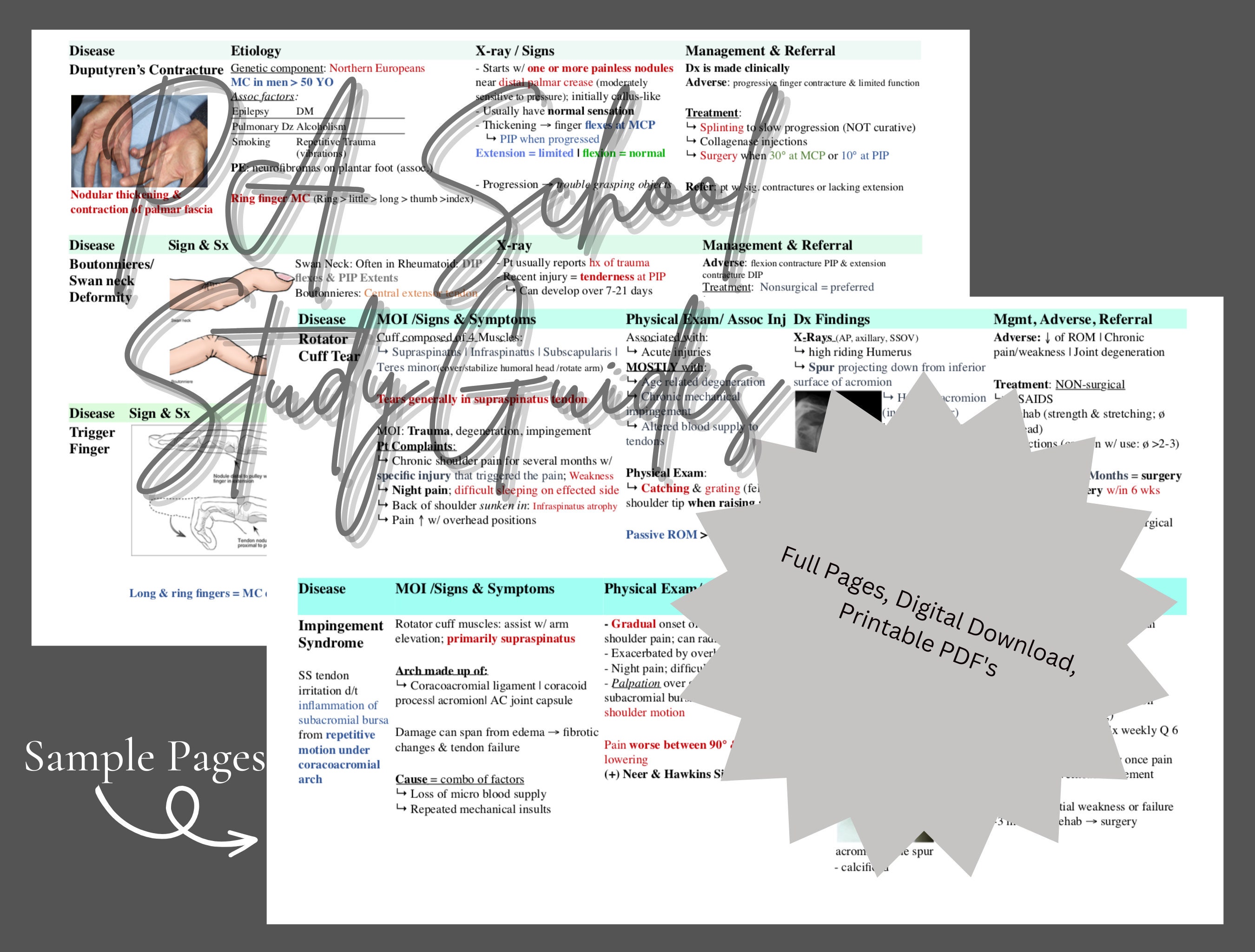 Orthopedics Comprehensive Study Guides | Digital Download | Physician ...