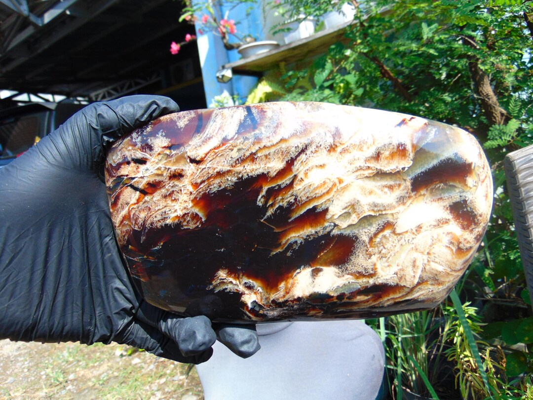 Polished Indonesian Zebra Amber Slab: Healing Crystal Gemstone 417 Gram ...