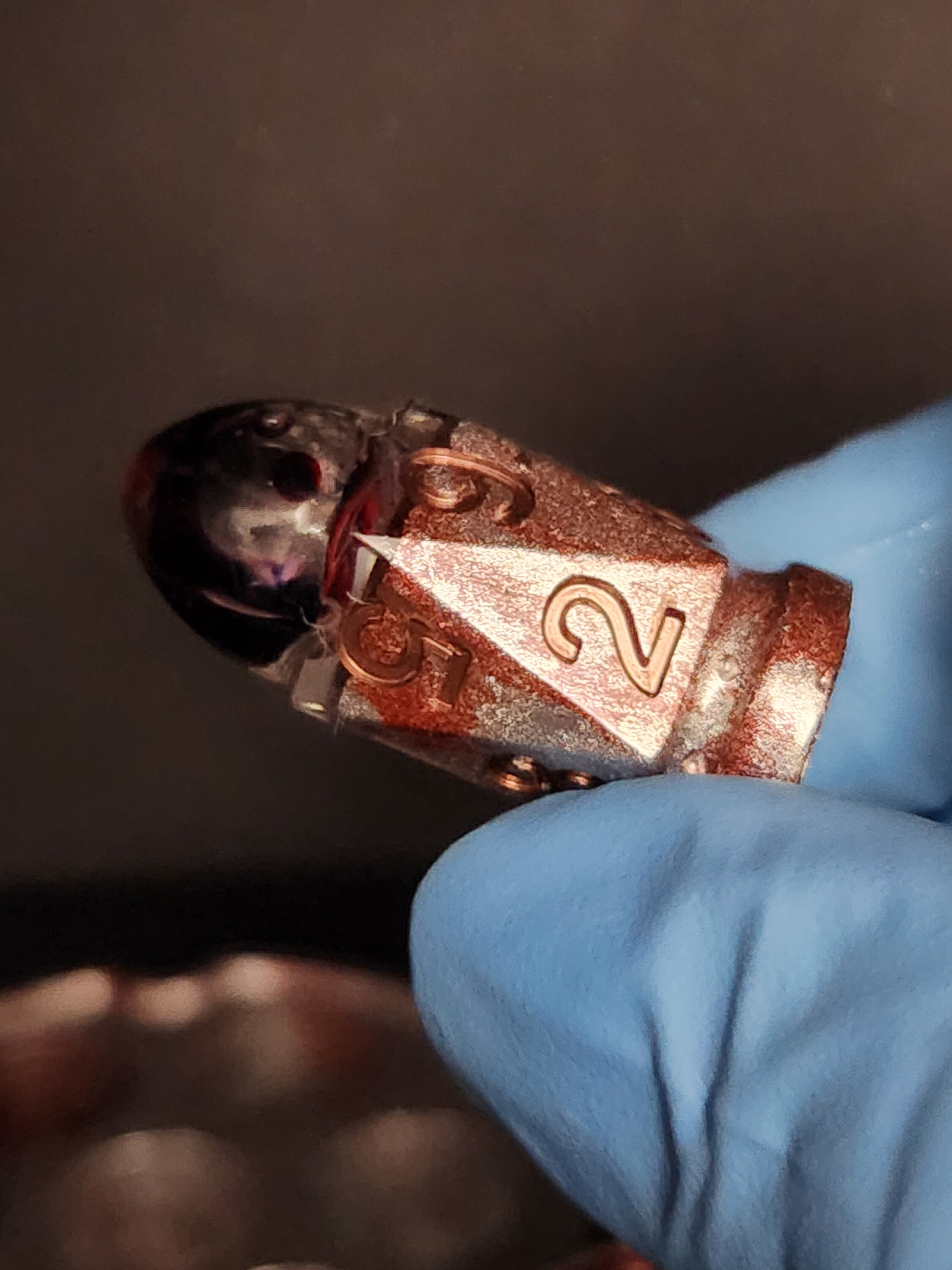 Dnd Bullet Dice 7 Piece Set Blood Tipped 002 With Custom Revolver ...