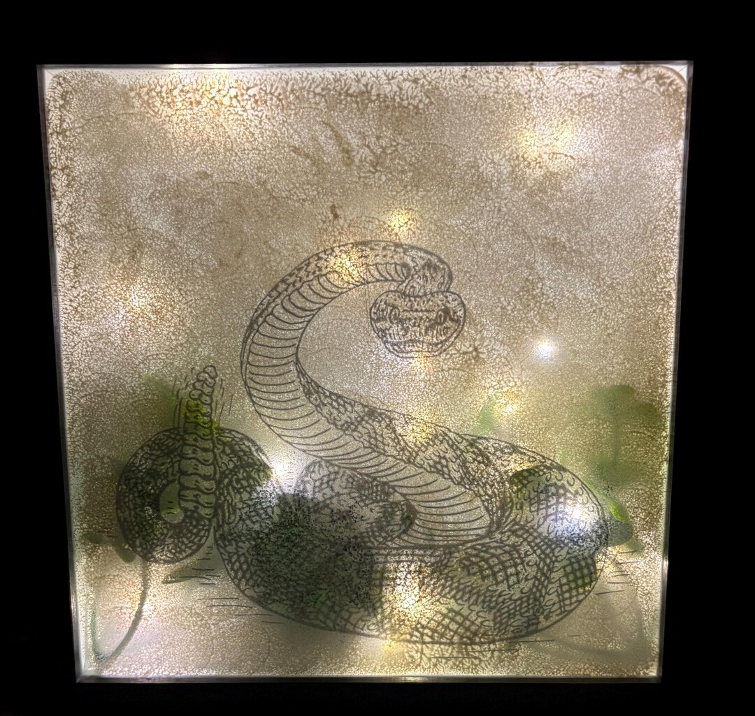 Rattlesnake Shadow Box, Rattlesnake Art, Rattlesnake Decor, Desert ...