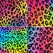 Rainbow Leopard Print Digital Paper | Animal Print | Sublimation ...