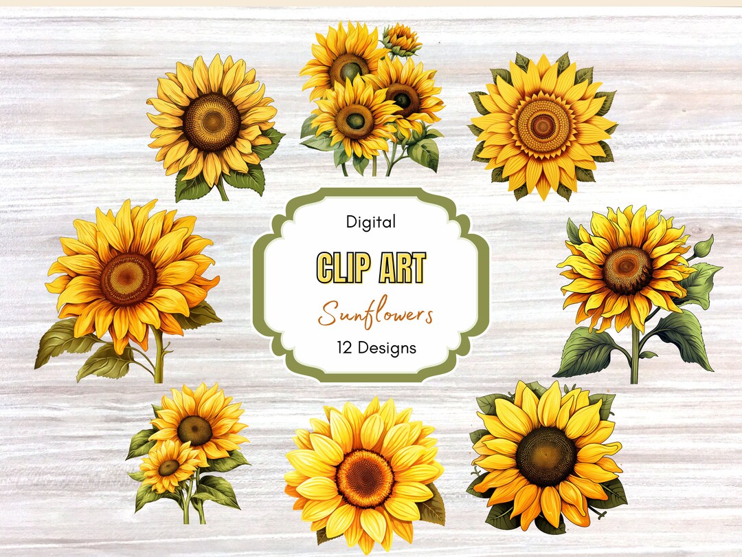 Sunflower Clipart | Watercolor Bouquets | Instant Download | Commercial ...