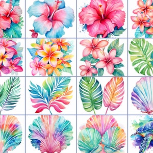 Tropical Watercolor Floral Clipart | Summer Clipart | Beach Elements ...