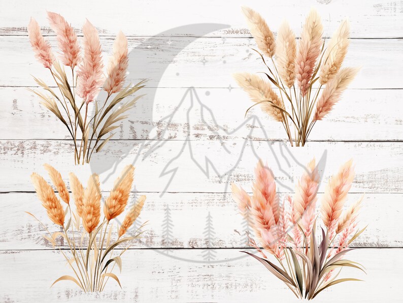 Pampas Grass Clipart Dried Pampas Clipart Boho Clipart Instant Download ...