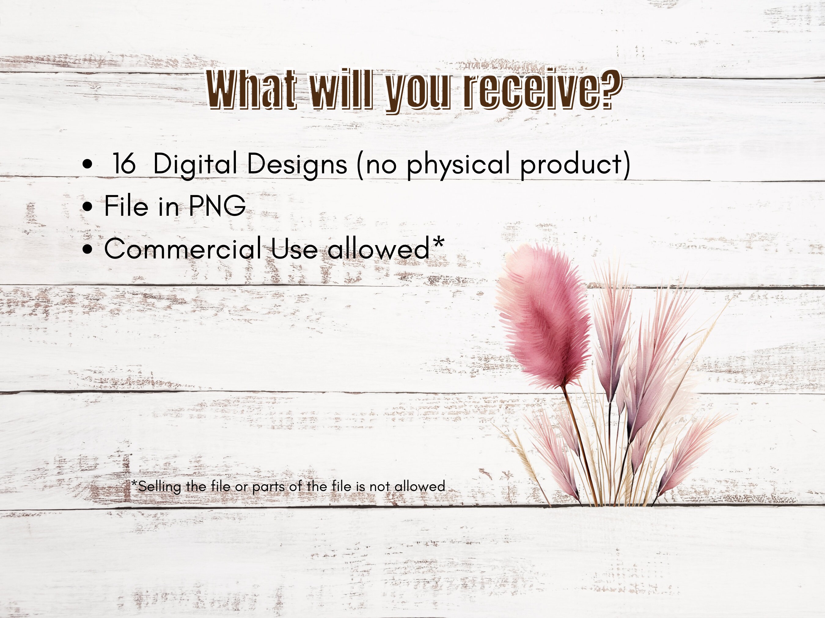 Pampas Grass Clipart Dried Pampas Clipart Boho Clipart Instant Download ...