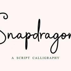 Snapdragon Calligraphy Font, Calligraphy Script Font for Cutting Machines - Etsy