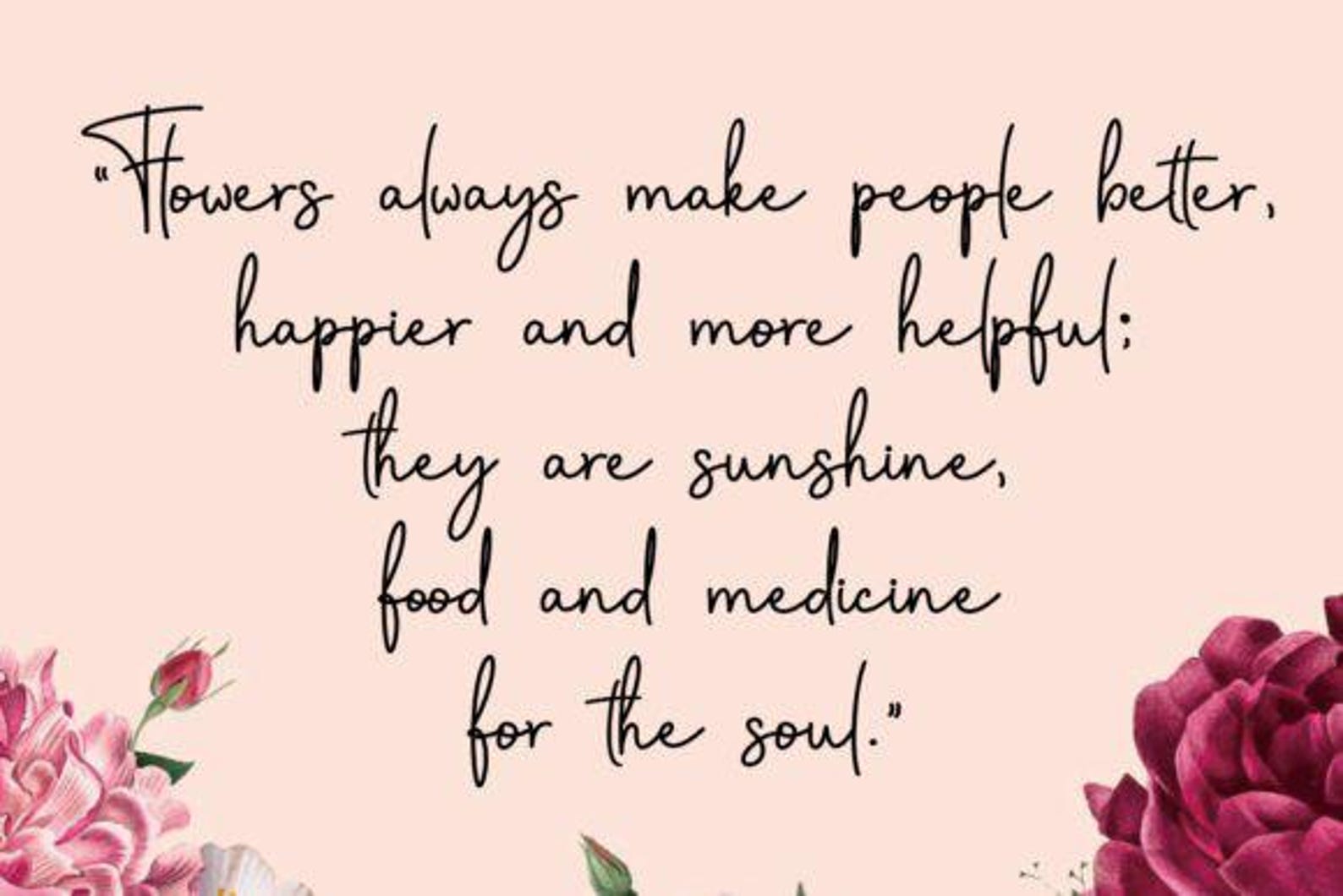 Snapdragon Calligraphy Font, Calligraphy Script Font for Cutting ...