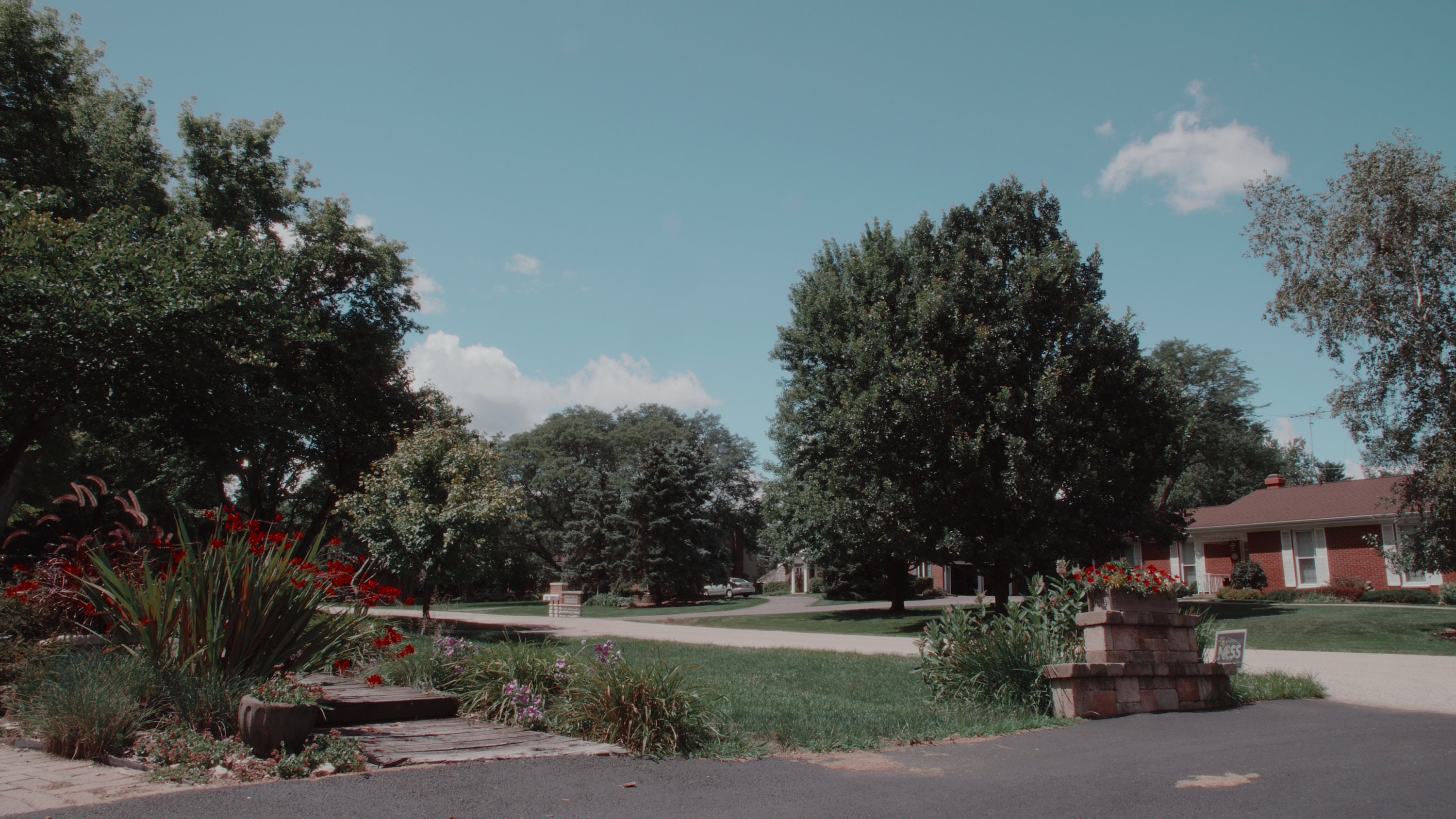Technicolor LUT Pack for Black Magic Pocket Cinema 6k/6k Pro - Etsy