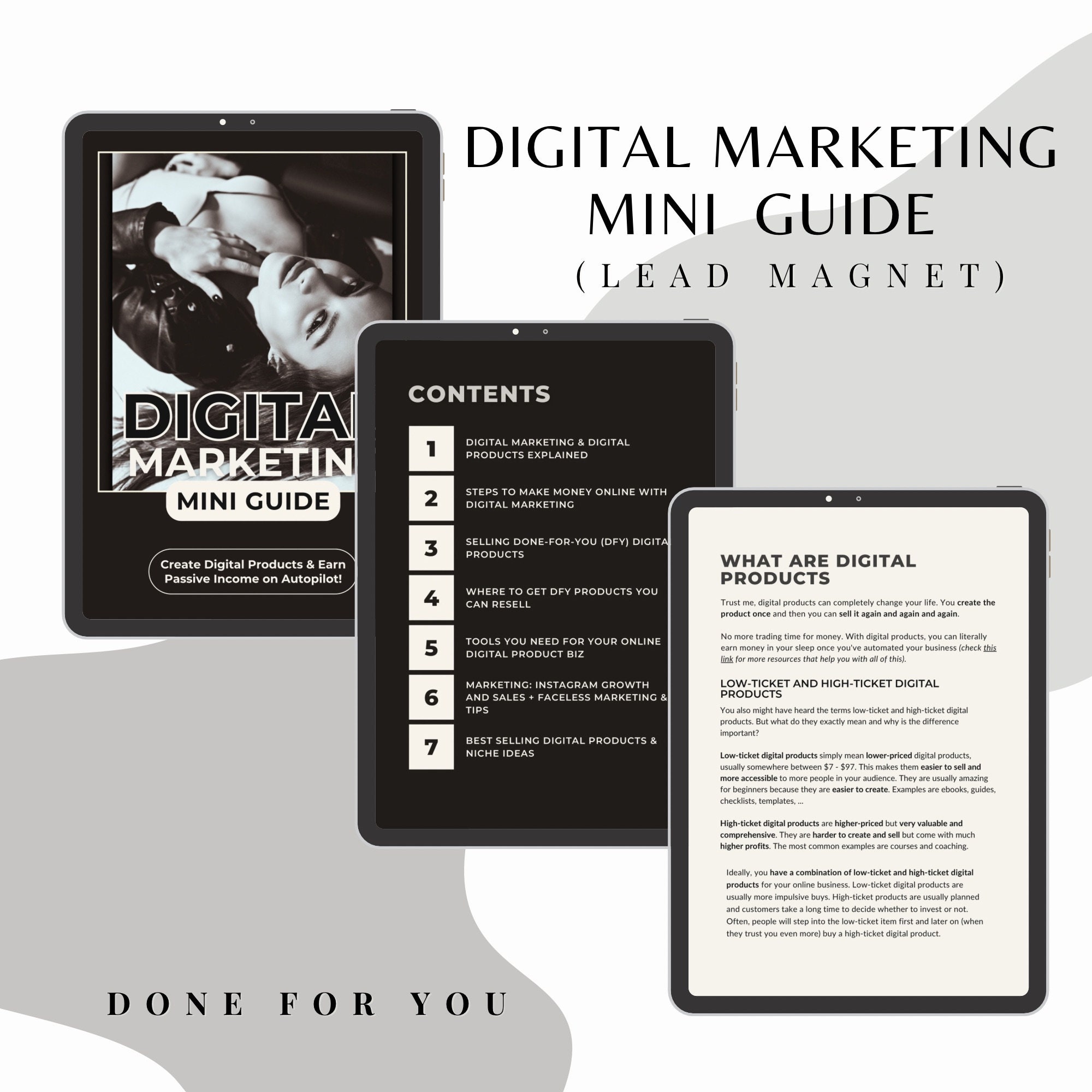 Done for You Digital Marketing Lead Magnet Mini Beginners Guide With MRR & PLR Ebook With Resell ...