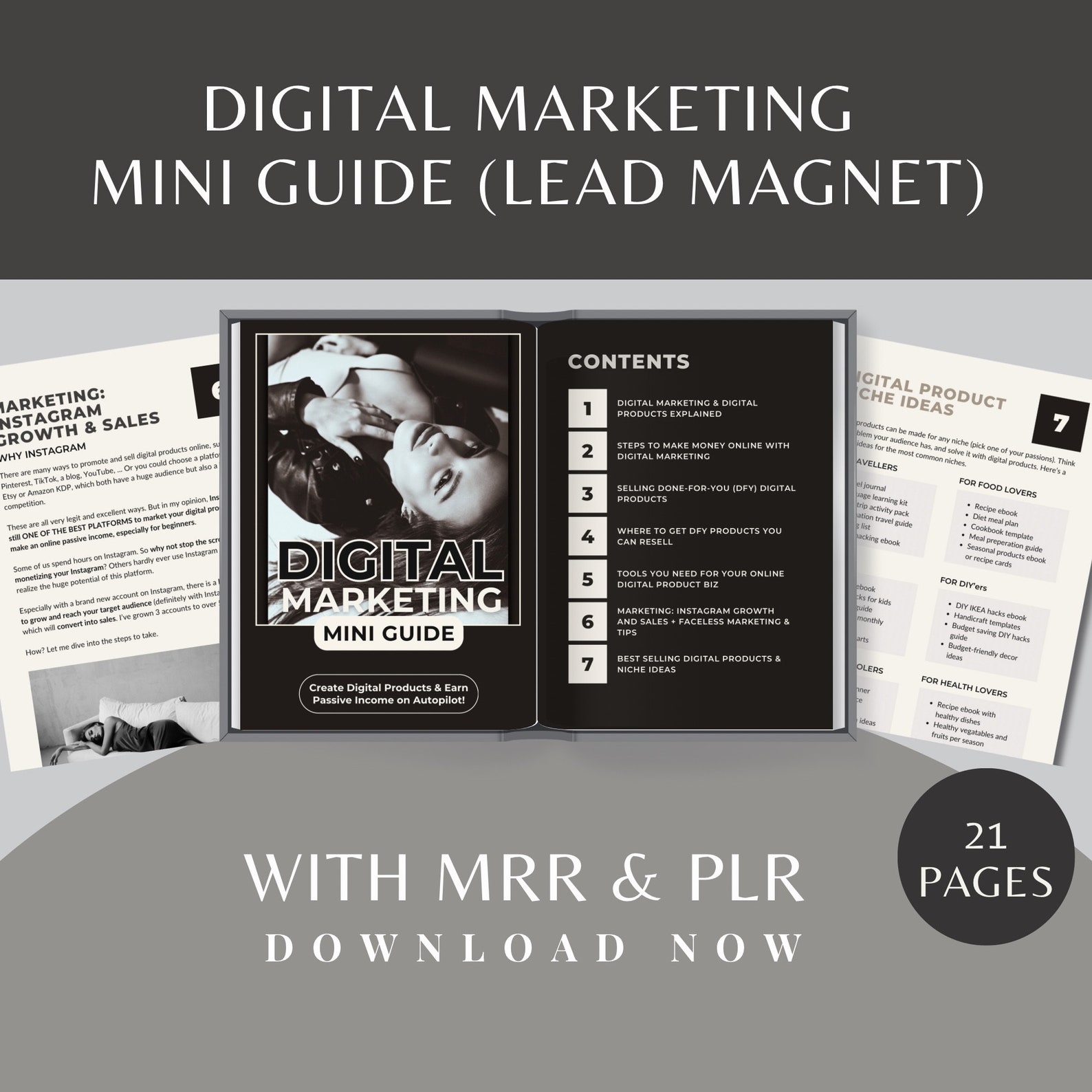 Done for You Digital Marketing Lead Magnet Mini Beginners Guide With MRR & PLR Ebook With Resell ...