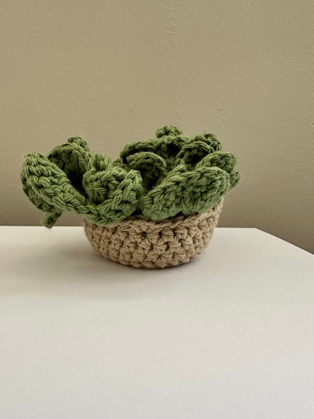 Monstera Leaf Coaster Set - Etsy