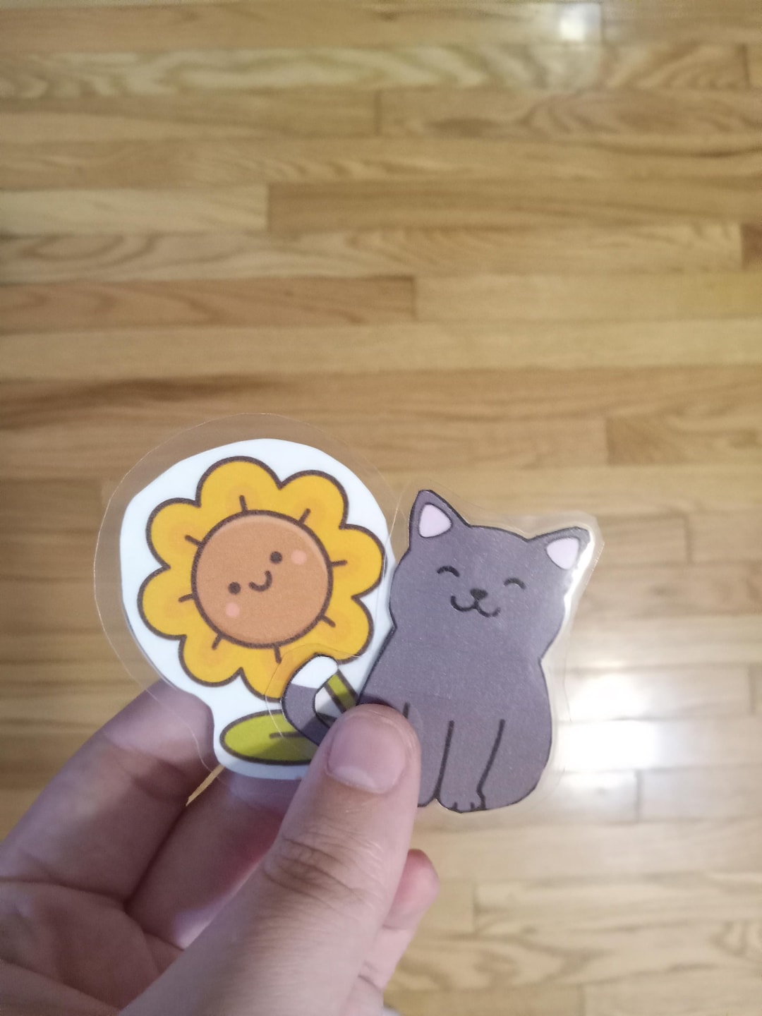 Customizable Laminated Magnet - Etsy
