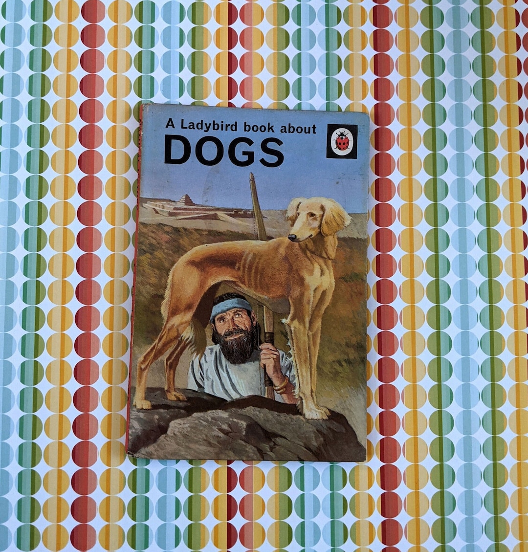 Vintage 'A Ladybird Book About Dogs' | Series 682 Very Good Condition ...