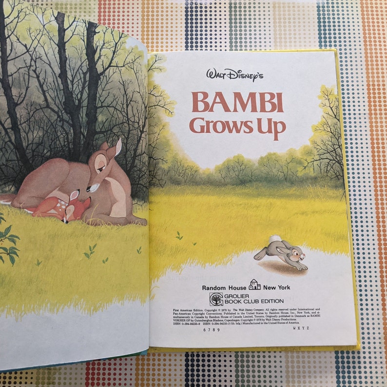 Vintage 'bambi Grows Up' First Edition - Disney's Wonderful World of ...
