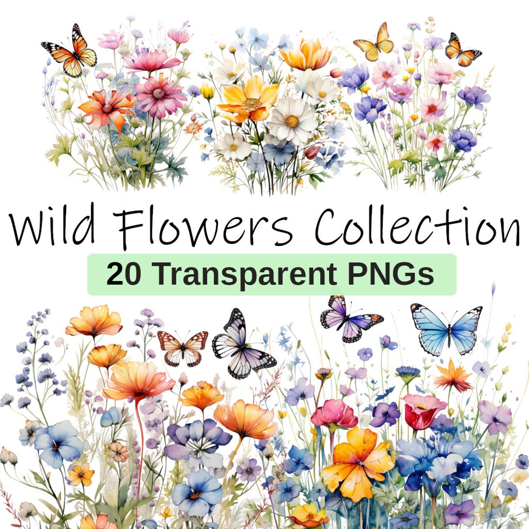 20 Watercolor Spring Wildflowers With Butterflies Clipart, Wild Flowers ...