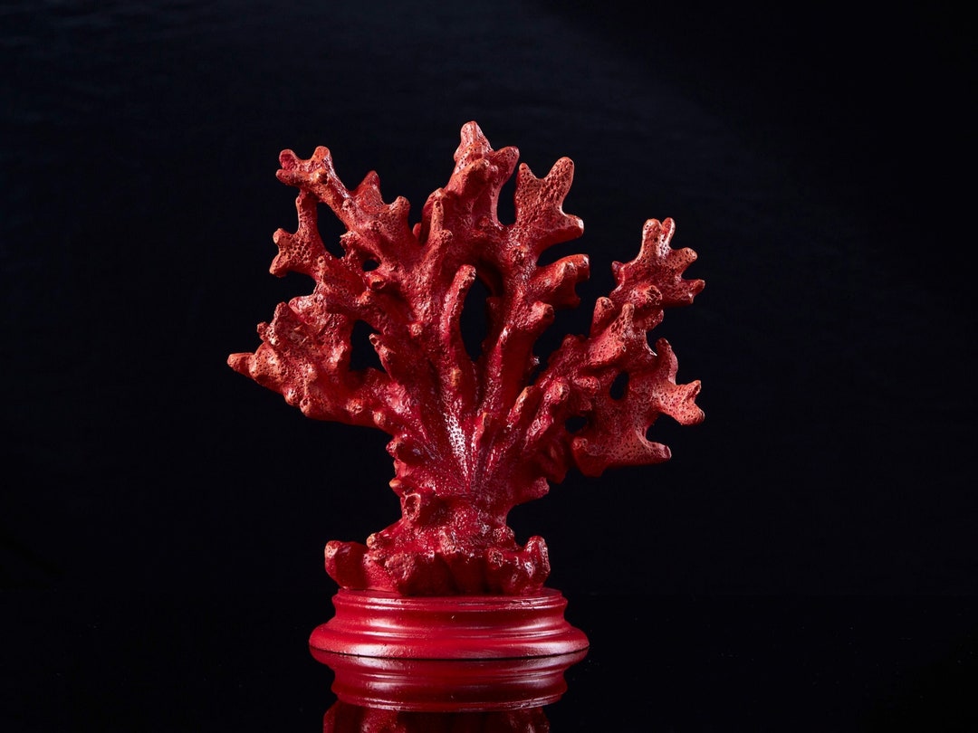 Decorative Red Coral Sculpture: Beachy Home Office Decor, Aquarium ...