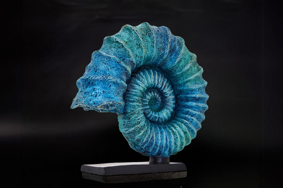 Handpainted Blue Ammonite Sculpture: Fossil Shell Statue, Coastal Home ...