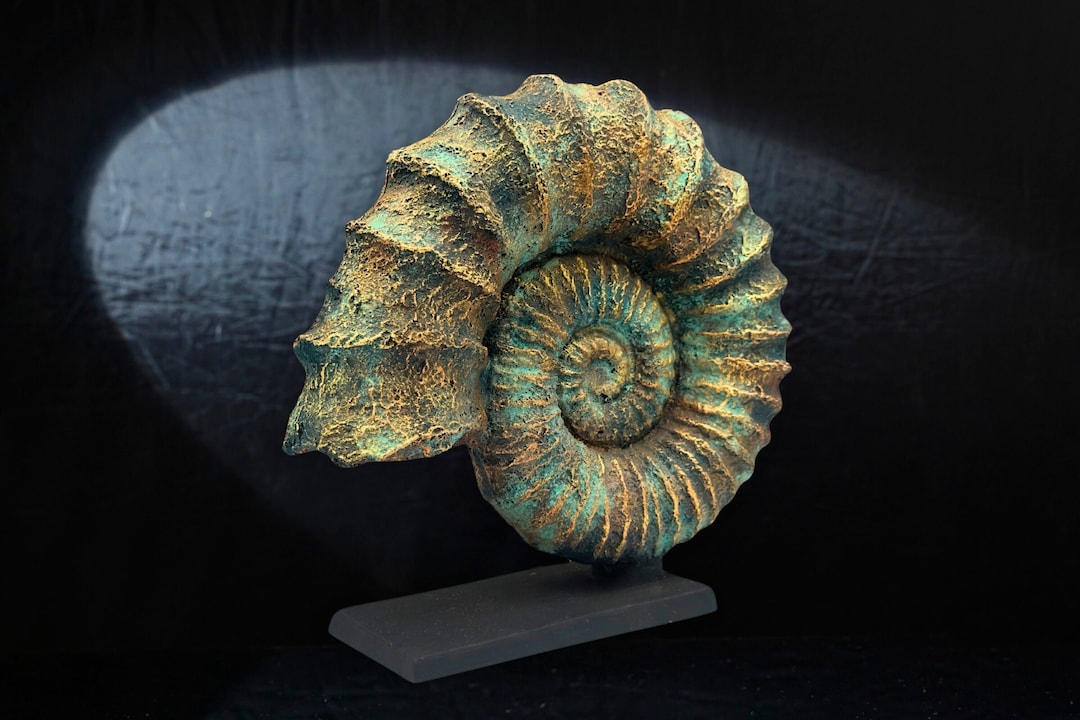Decorative Ammonite Fossil Statue, Handmade Shell Sculpture on Stand ...
