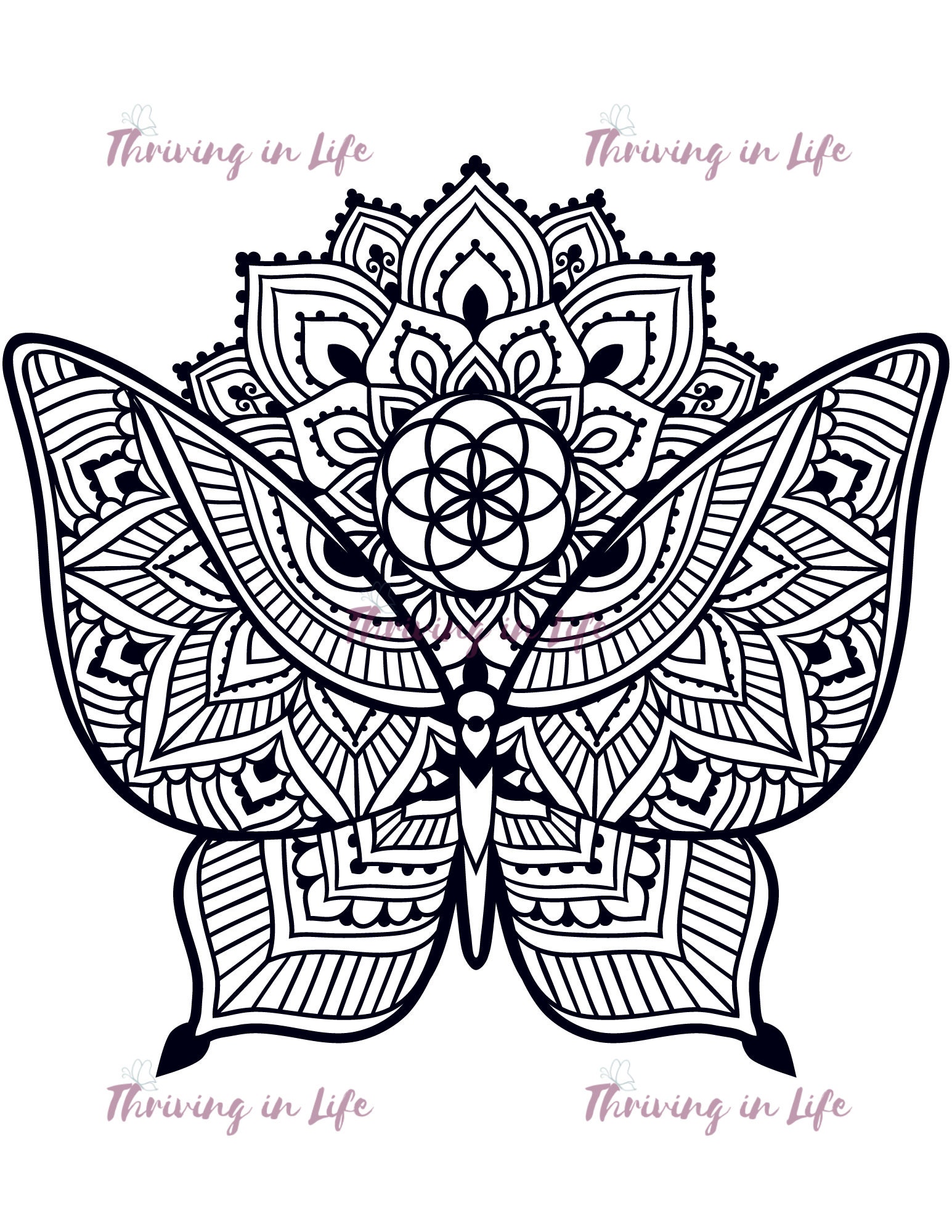 Set of 10 Butterfly Mandala Coloring Pages | Printable Coloring Sheets ...