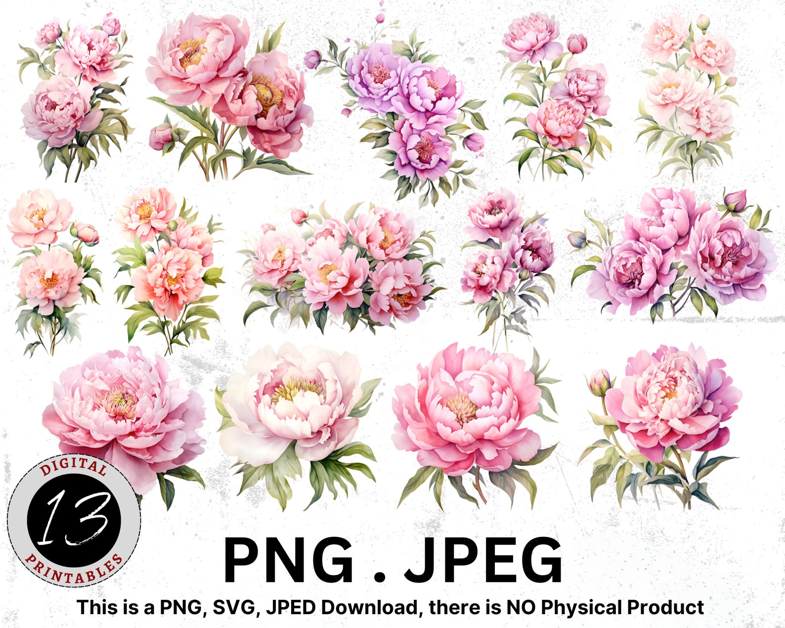 Watercolor Peony Clipart, Floral Clipart, Sublimation Design ...