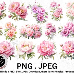 Watercolor Peony Clipart, Floral Clipart, Sublimation Design ...