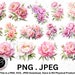 Watercolor Peony Clipart, Floral Clipart, Sublimation Design ...