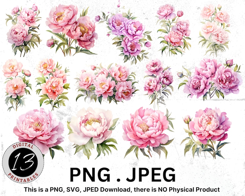 Watercolor Peony Clipart, Floral Clipart, Sublimation Design ...