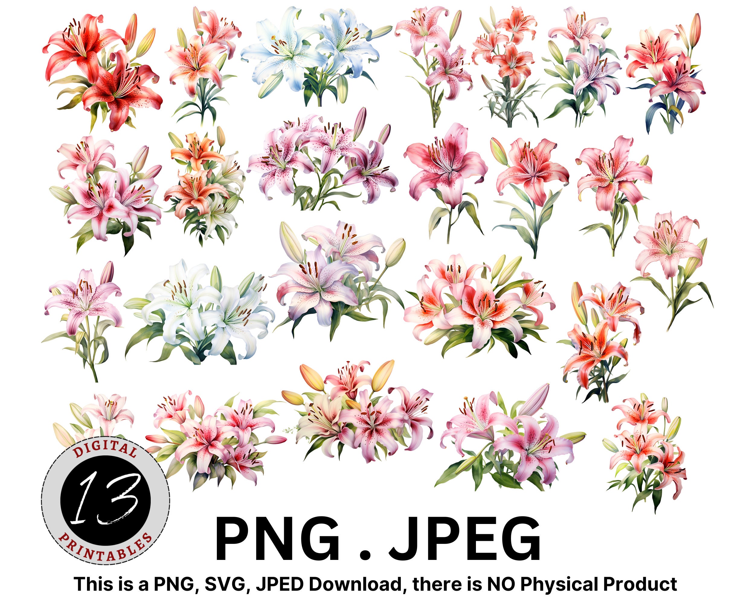 Watercolor Lilies Clipart, Digital Lilies, Instant Download, Lilies PNG ...