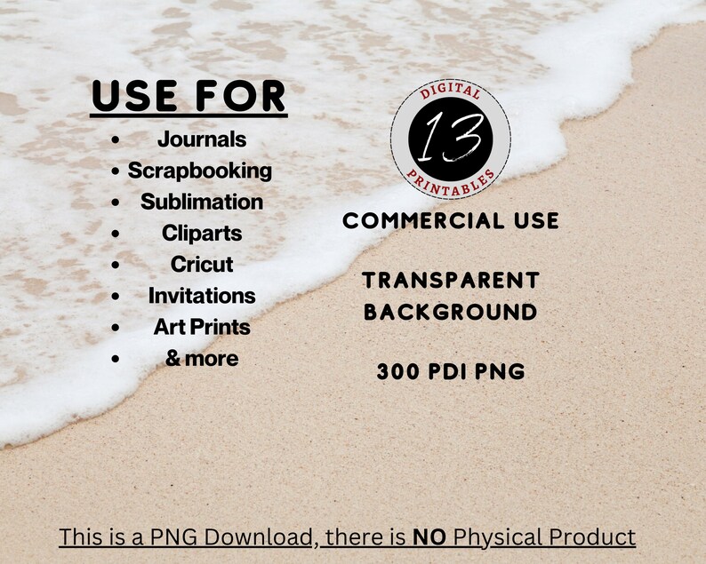 Watercolor Seashell Clipart Botanical Print Beach Clipart - Etsy