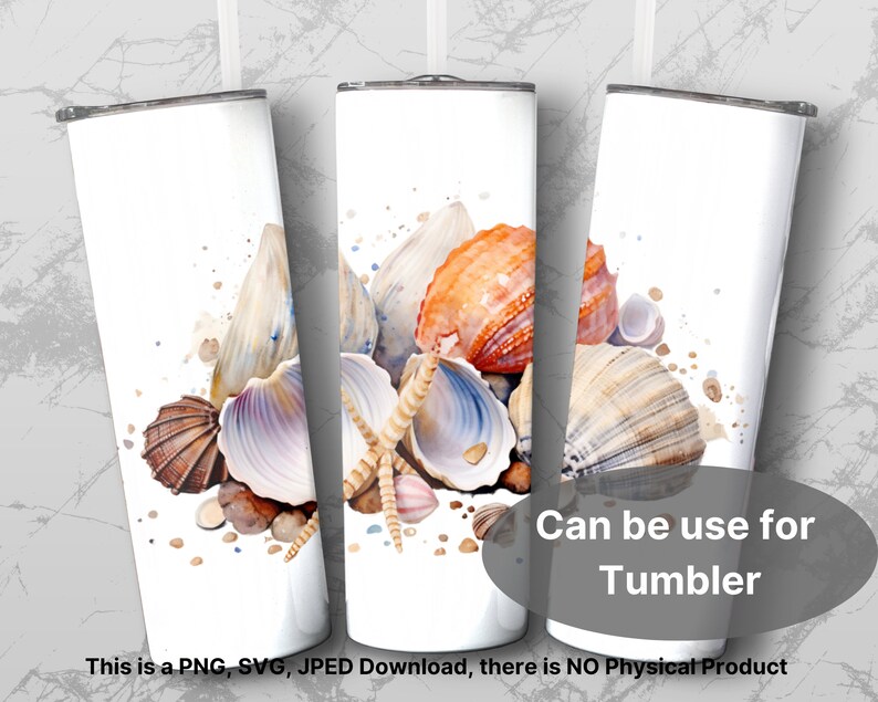 Watercolor Seashell Clipart Botanical Print Beach Clipart - Etsy