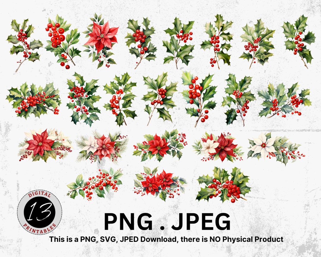 Christmas Holly Clipart Bundle, Watercolor Holly Clipart, Holly Clipart ...