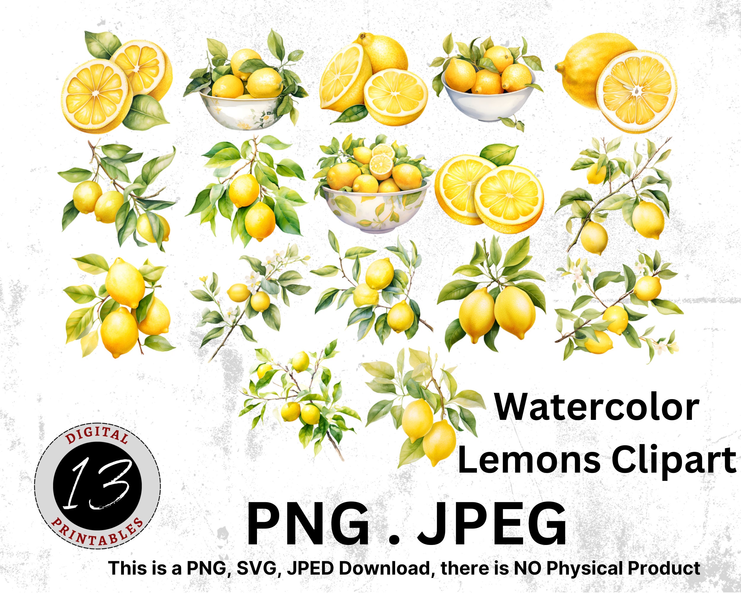 Watercolor Lemon Clipart, Lemon Twig Clipart, Lemon Bowl PNG ...