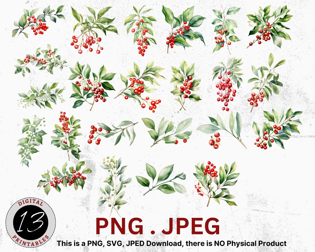 Watercolor Mistletoe Clipart, Mistletoe PNG, Christmas Clipart, Holiday ...