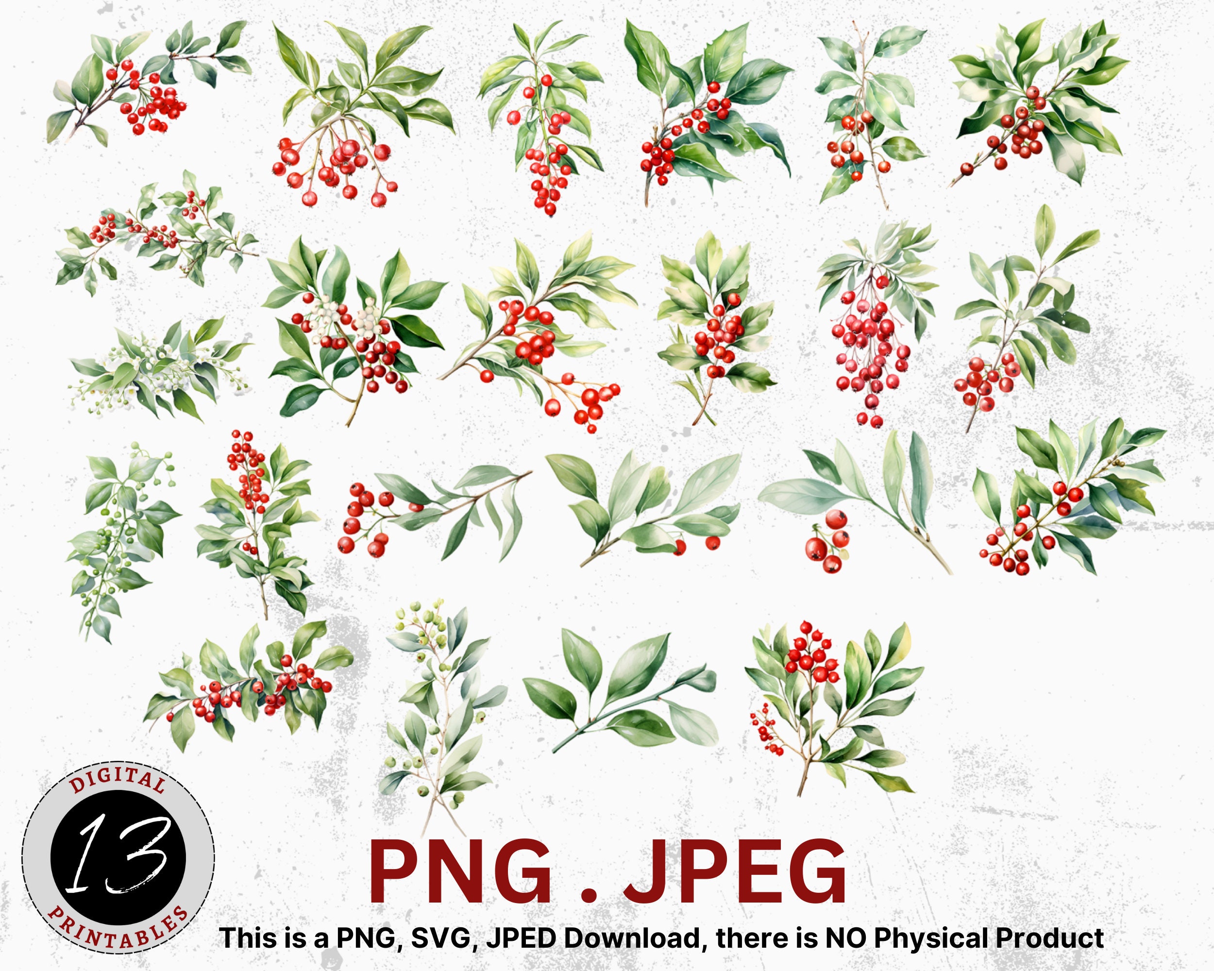 Watercolor Mistletoe Clipart, Mistletoe PNG, Christmas Clipart, Holiday ...