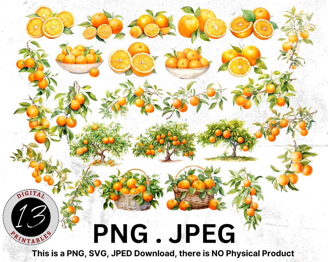 Watercolor Orange Clipart Fruit Clipart Sublimation Design - Etsy