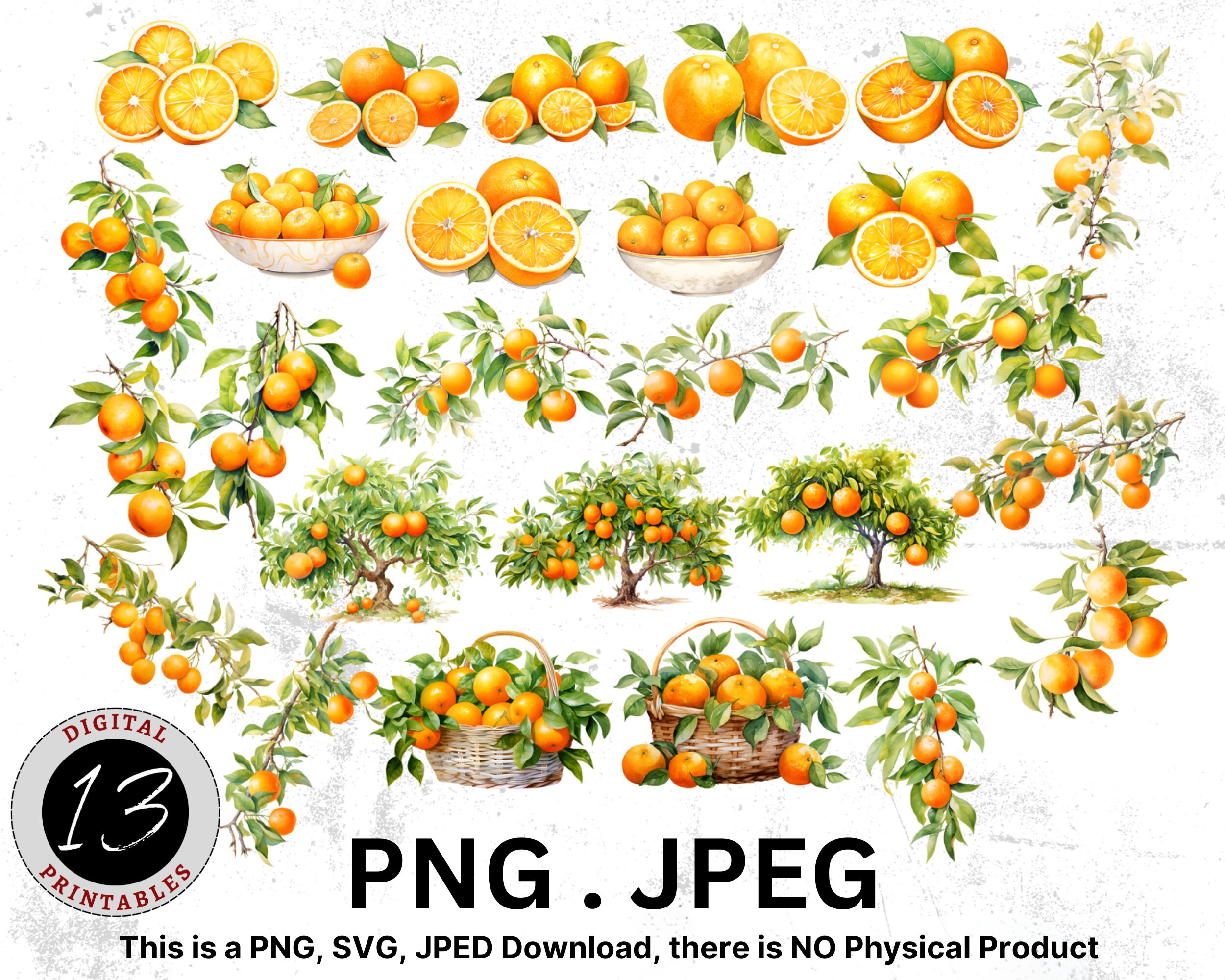 Watercolor Orange Clipart, Fruit Clipart, Sublimation Design ...