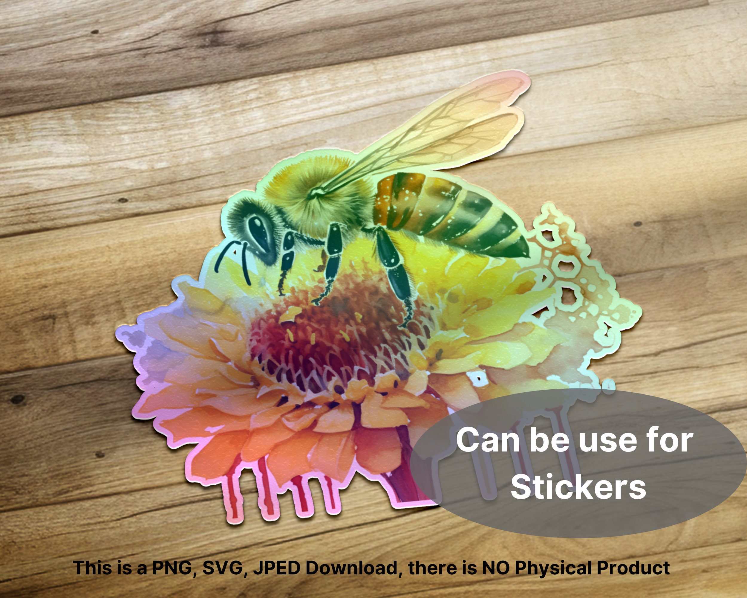 Watercolor Honey Bee Clipart Honey Comb Clipart Digital PNG - Etsy