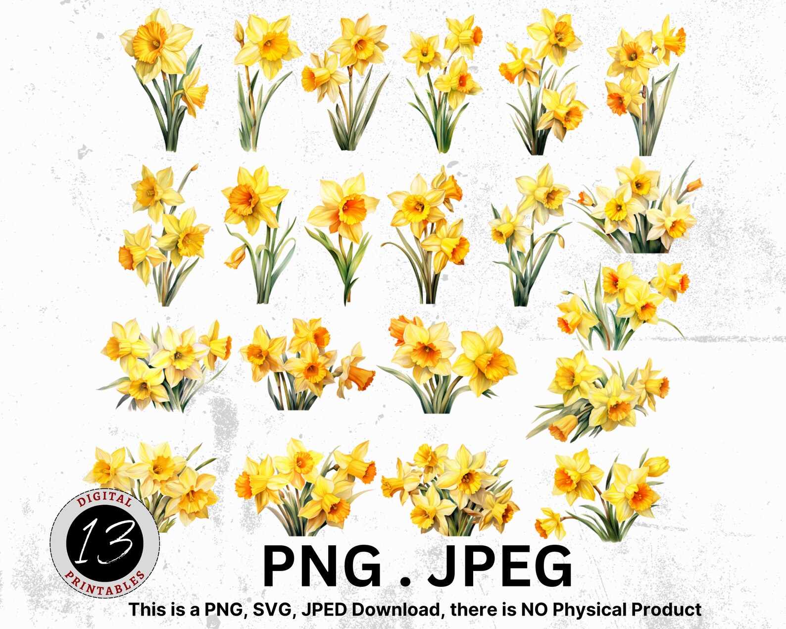 Daffodil Watercolor Clipart Bundle, Watercolor Daffodil, Daffodil PNG ...