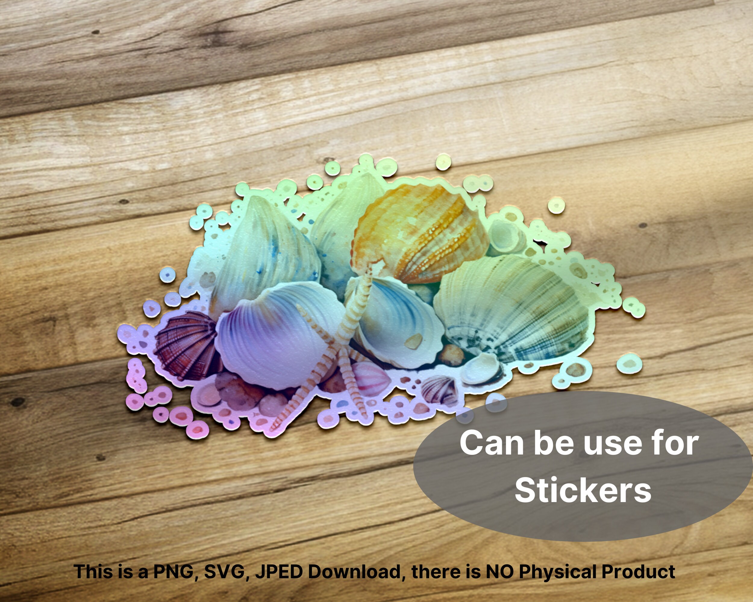 Watercolor Seashell Clipart Botanical Print Beach Clipart - Etsy