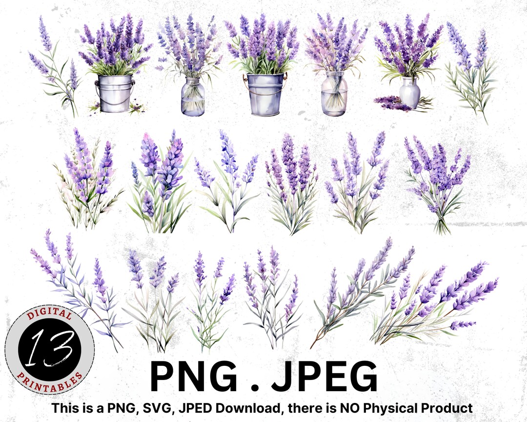 Watercolor Lavender Clipart, Sublimation Design, Lavender Flower PNG ...